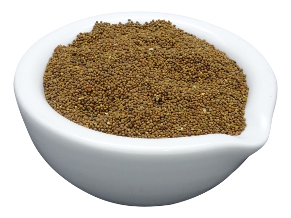 Cuscutae Semen / TU SI ZI: Infos & TCM-Versand - Startpunkt